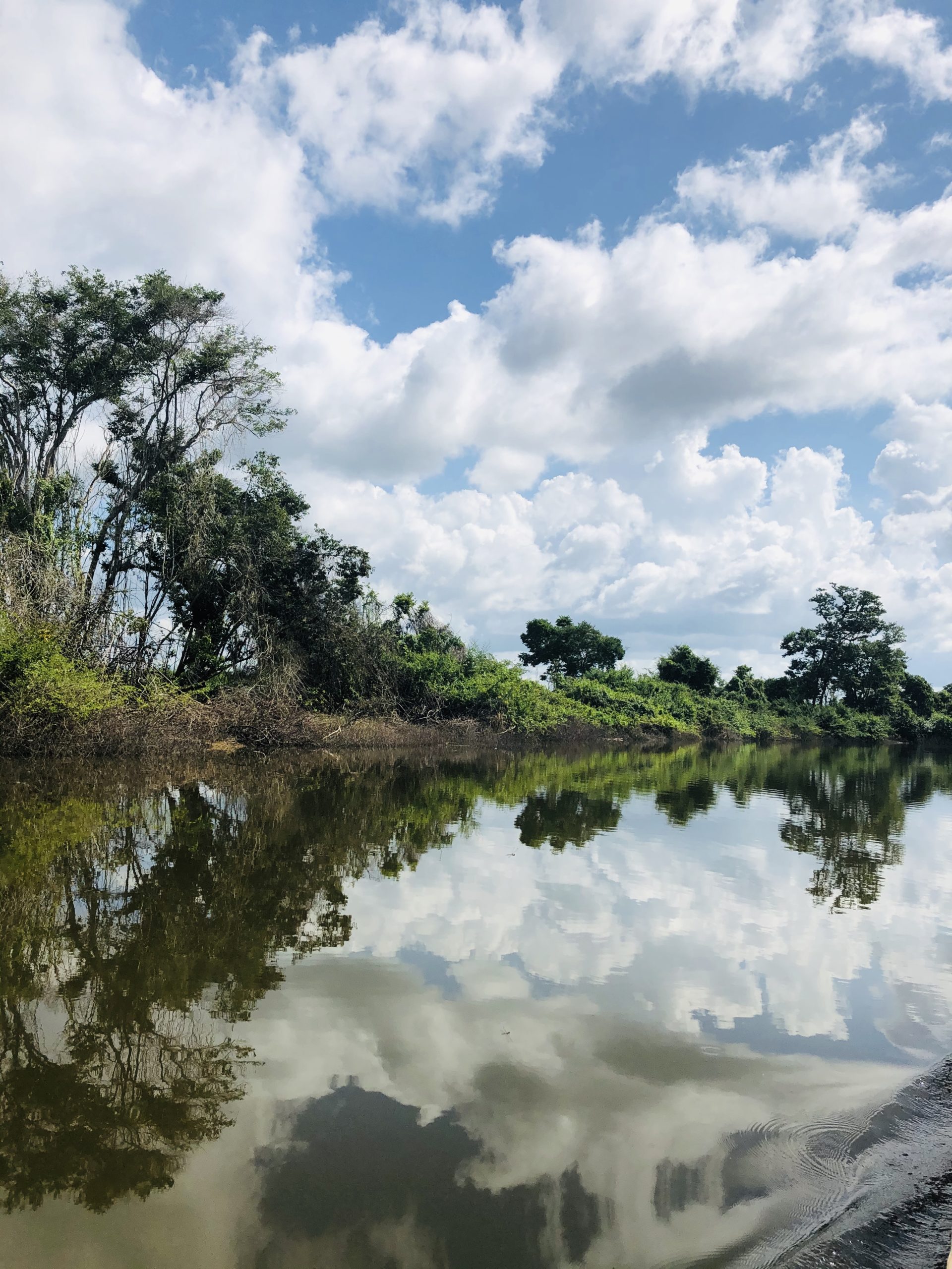 The Value of the Tropical Forests - FLAAR MESOAMERICA