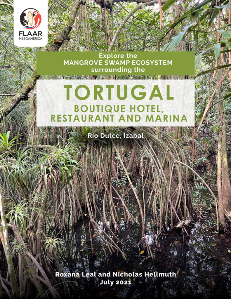 Review of our several days stay at Tortugal Boutique hotel, Restaurant ...
