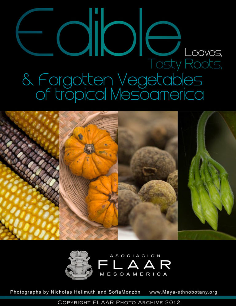 Edible Leaves, Tasty Roots, & Forgotten Vegetables of tropical ...