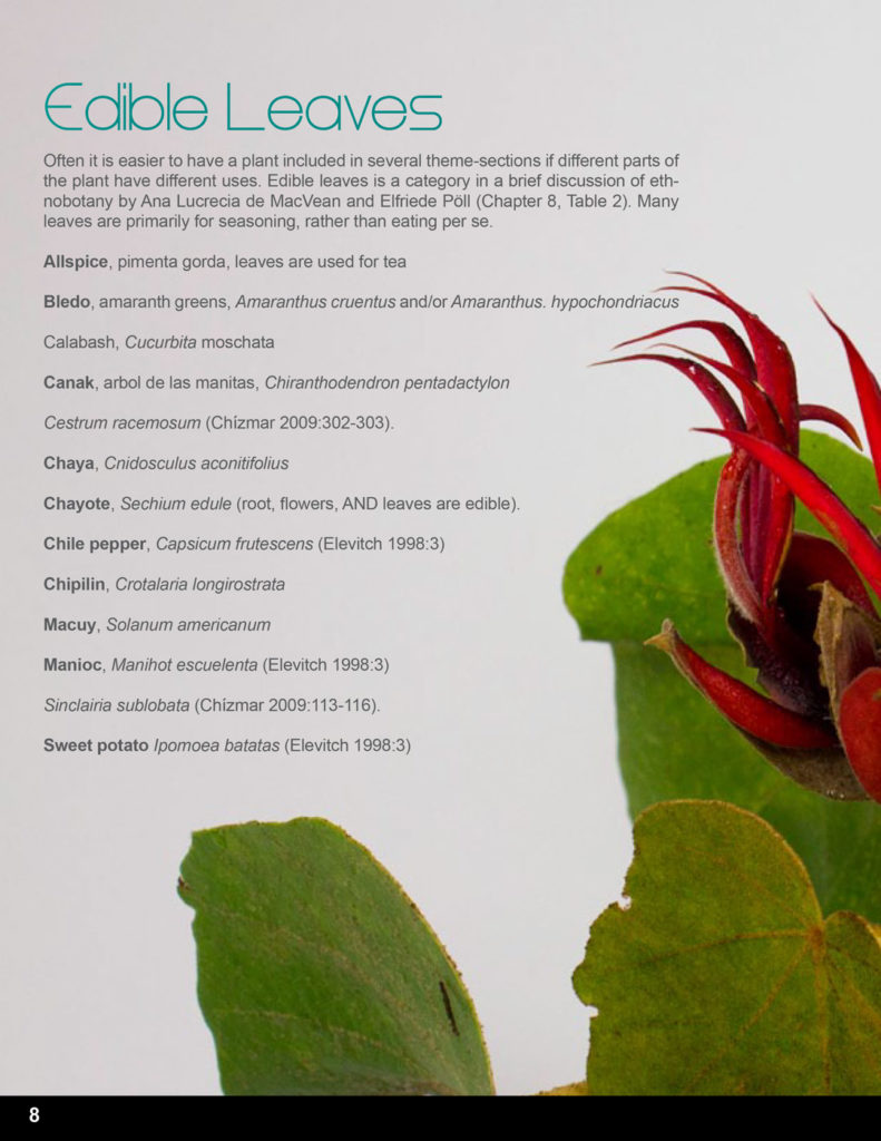 Edible Leaves, Tasty Roots, & Forgotten Vegetables of tropical ...