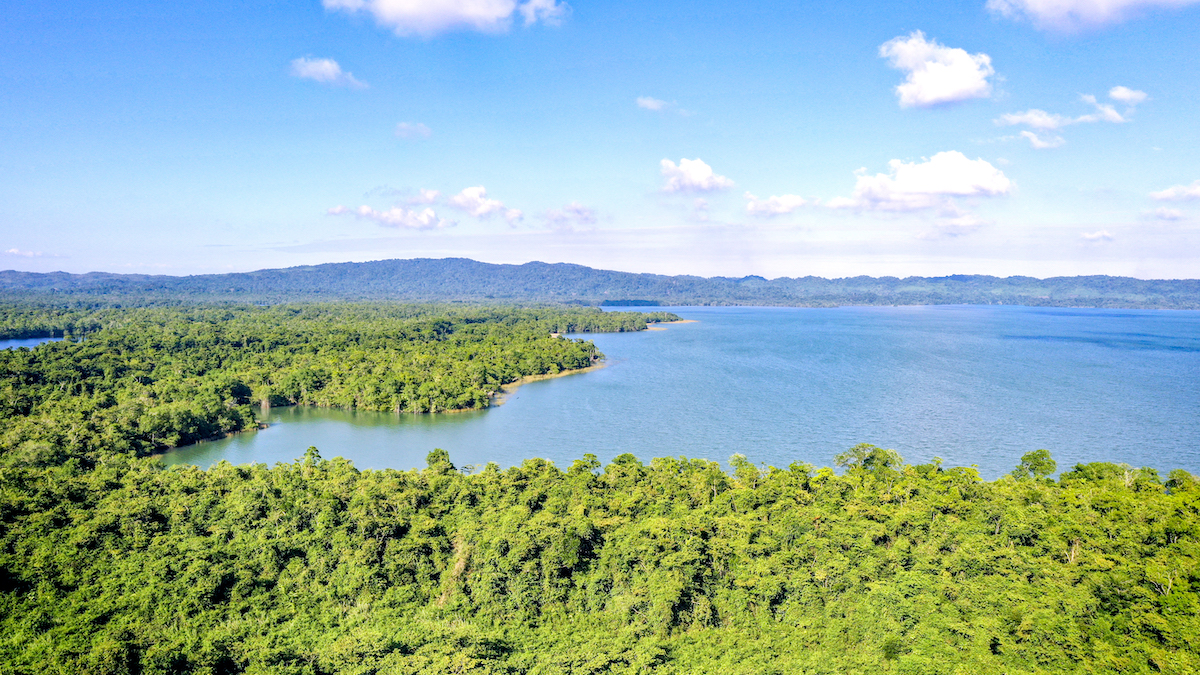 Every Day Is Earth Day - FLAAR MESOAMERICA