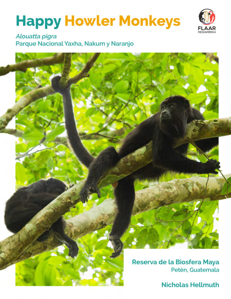 Happy Howler Monkeys - FLAAR MESOAMERICA