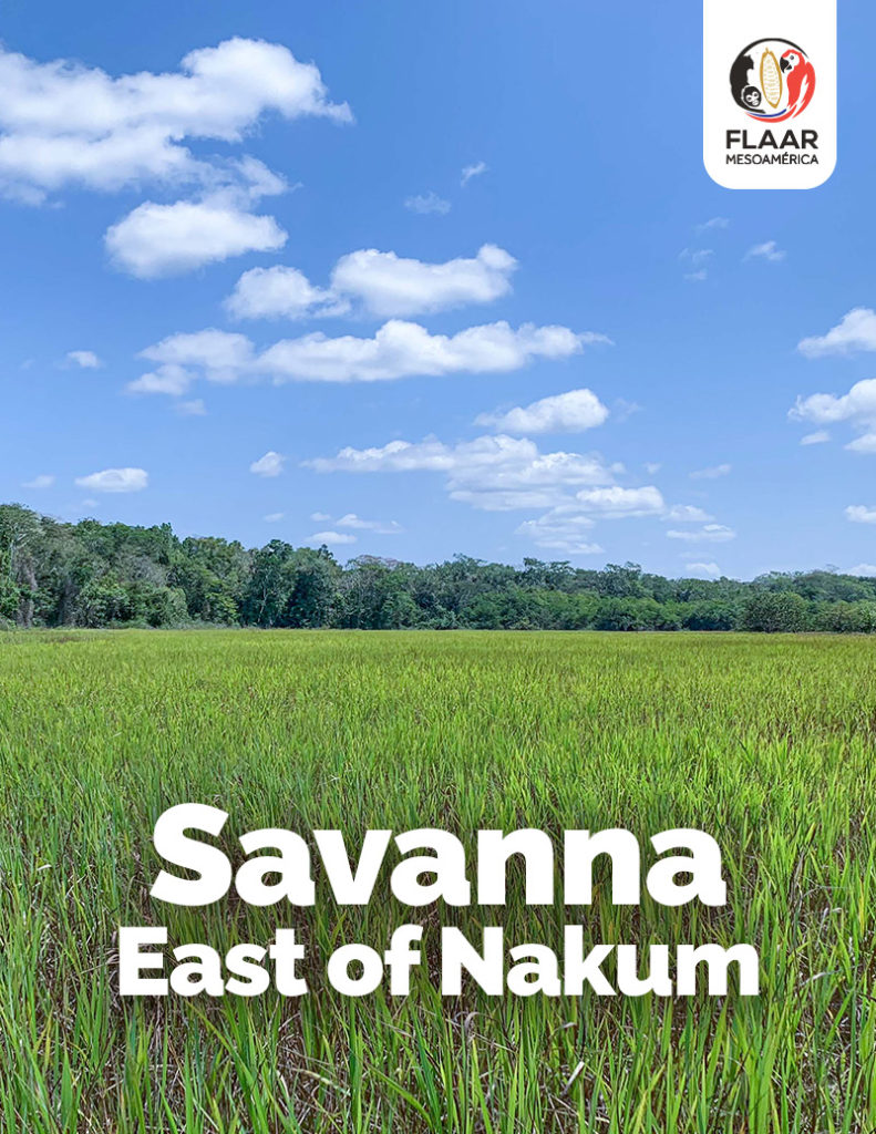 Savanna of Multiple & Biodiverse Micro-Ecosystems - FLAAR MESOAMERICA