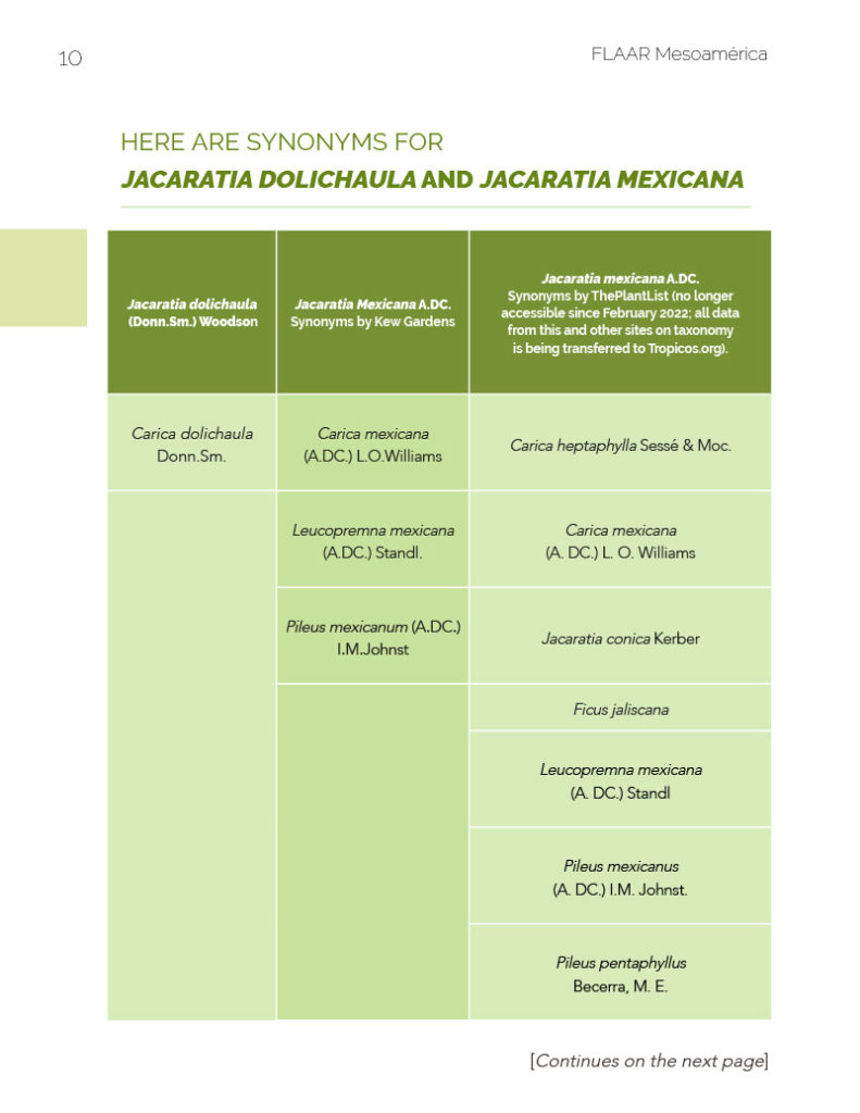 Jacaratia dolichaula, Jacaratia mexicana, Unexpected Edible Aspects of ... Jacaratia dolichaula, Jacaratia mexicana, Unexpected Edible Aspects of ...