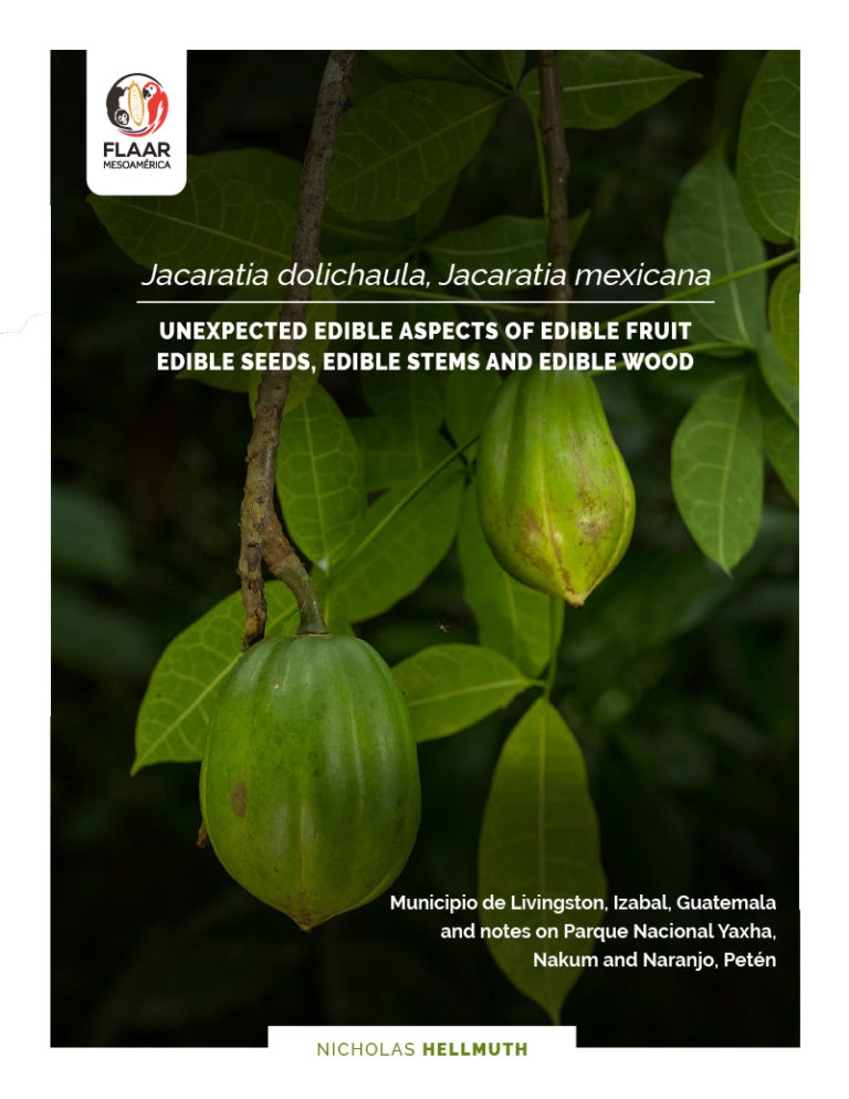 Jacaratia dolichaula, Jacaratia mexicana, Unexpected Edible Aspects of ... Jacaratia dolichaula, Jacaratia mexicana, Unexpected Edible Aspects of ...