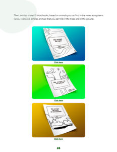 FLAAR ANNUAL REPORT FOR YEAR 2022 - FLAAR MESOAMERICA