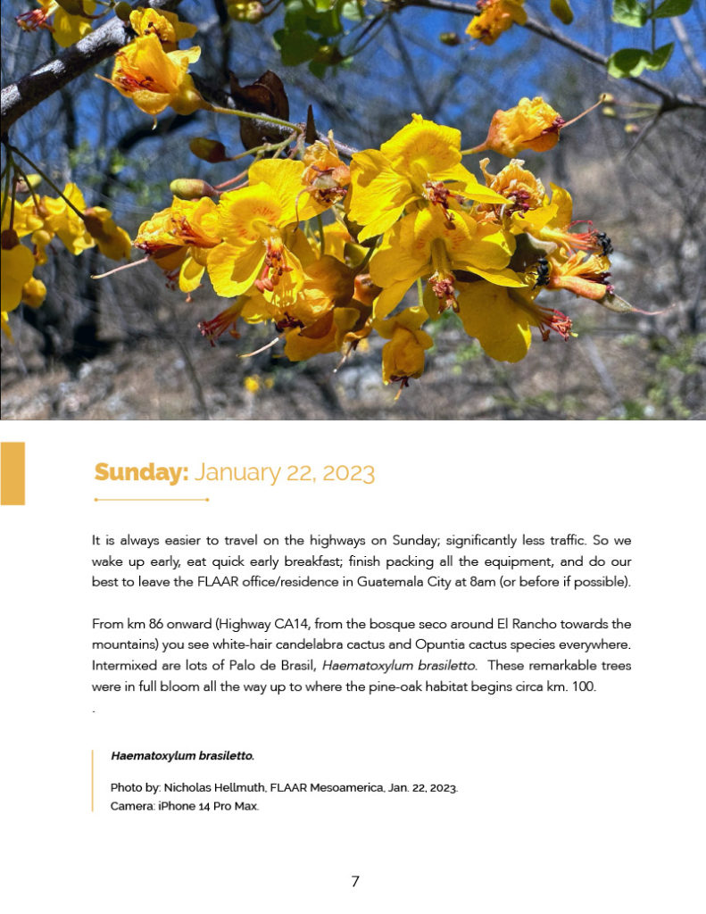 Neotropical Flora and Fauna that you can see in 5 days in Peten (in ...