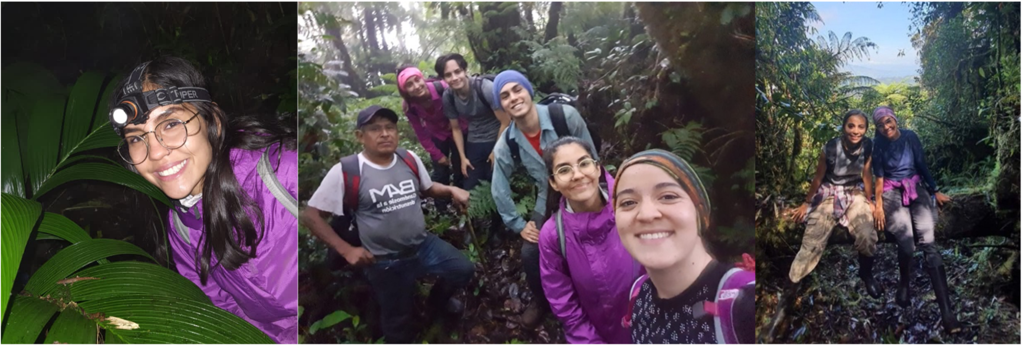 Cobán Climbing Salamander: An Example of How Genetic Differentiation ...