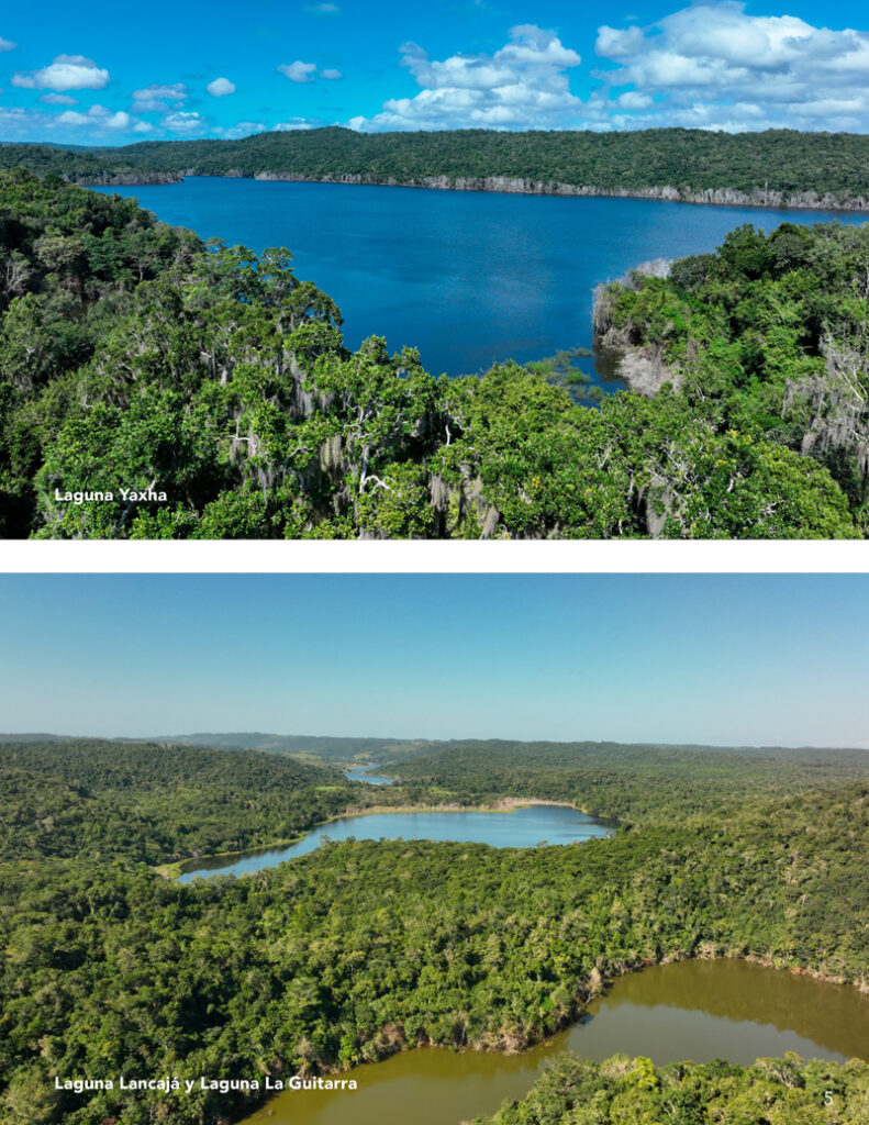 Reporte Anual de FLAAR para el año 2023 - FLAAR MESOAMERICA