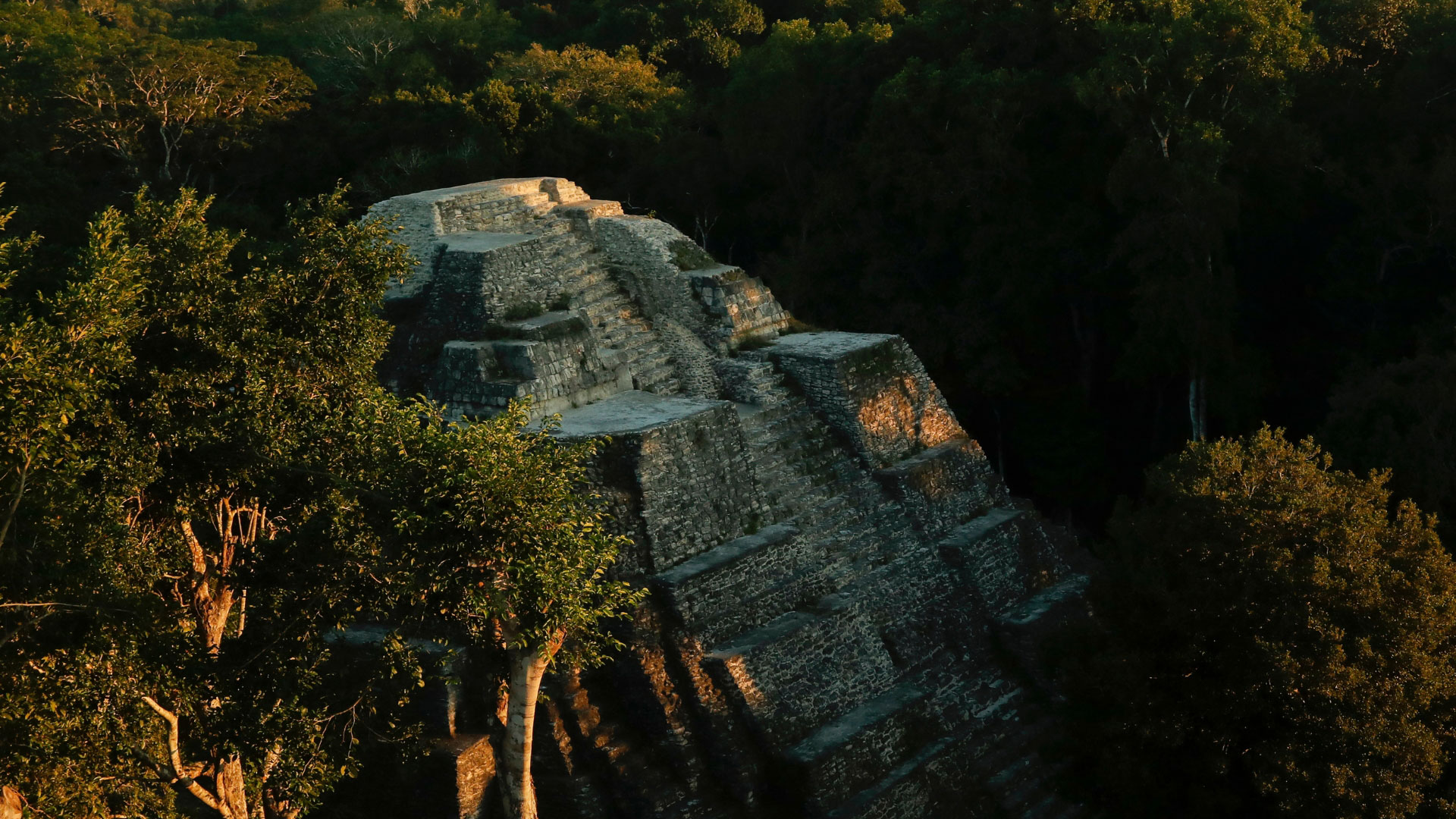 FLAAR MESOAMERICA - Research & Educational Projects on Mesoamerica