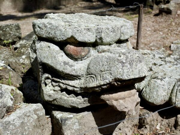 A Closer Look at Marine Species in Classic Maya Art - FLAAR MESOAMERICA