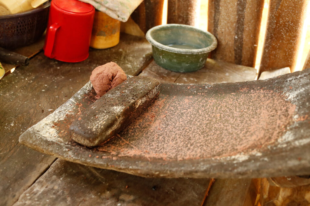 A delicious substitute of Cacao drink using Mamey Sapote seeds - FLAAR ...