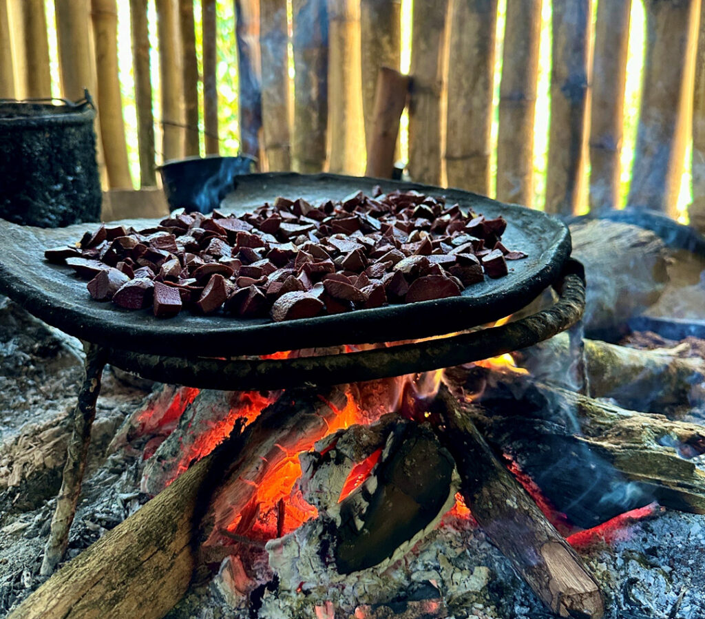 A delicious substitute of Cacao drink using Mamey Sapote seeds - FLAAR ...