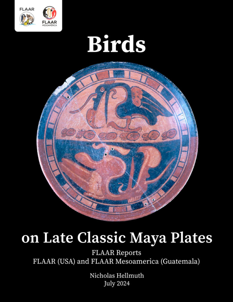 Birds on Late Classic Maya Plates - FLAAR MESOAMERICA