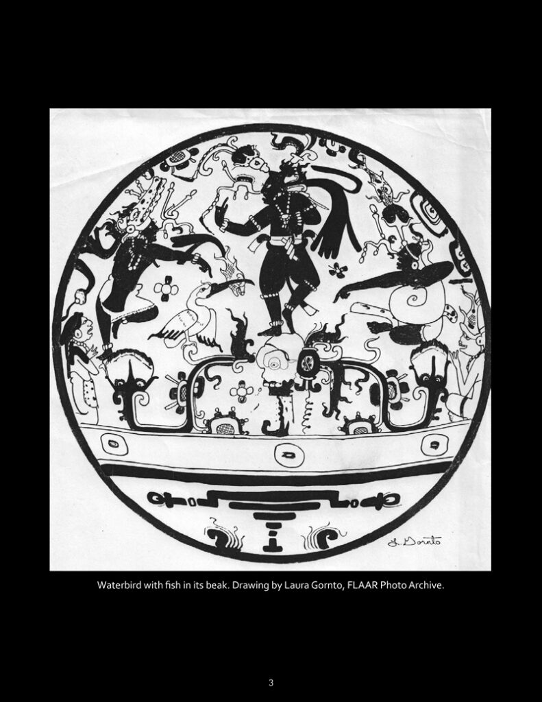 Birds on Late Classic Maya Plates - FLAAR MESOAMERICA