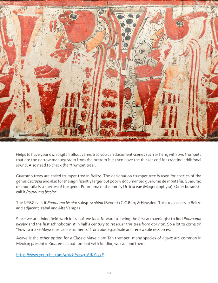 Musical Instruments of the Classic Maya and Teotihuacán